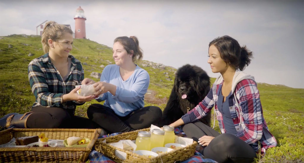 About Us | Lighthouse Picnics | Ferryland, NL